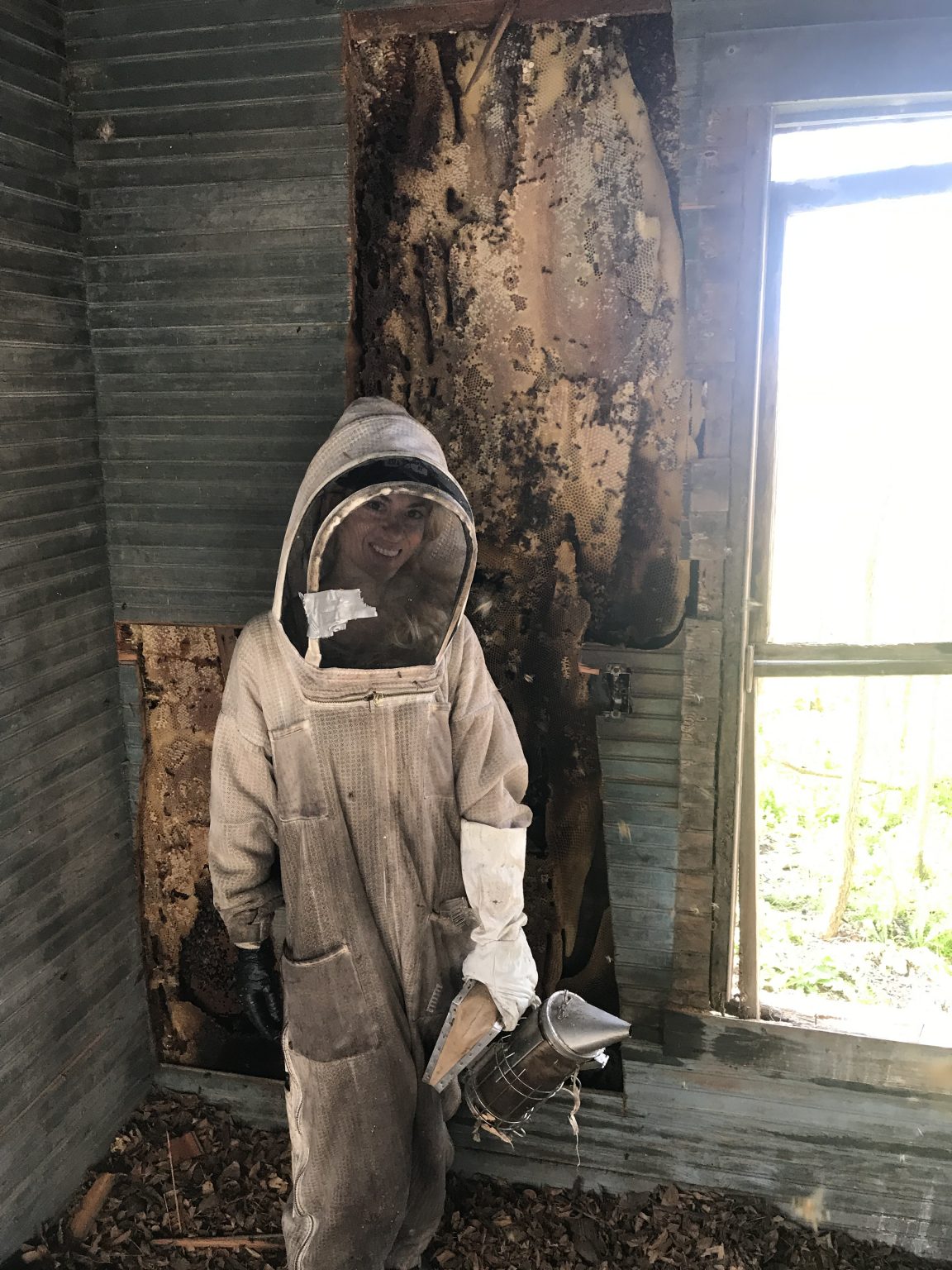 Erika Thompson, Queen Bee of Social Media's Beekeeping and Bee Removals ...